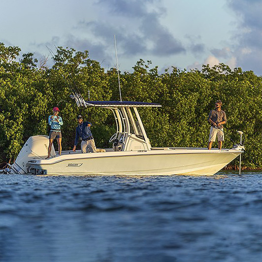 BOSTON WHALER 220 DAUNTLESS - Seas & Deserts